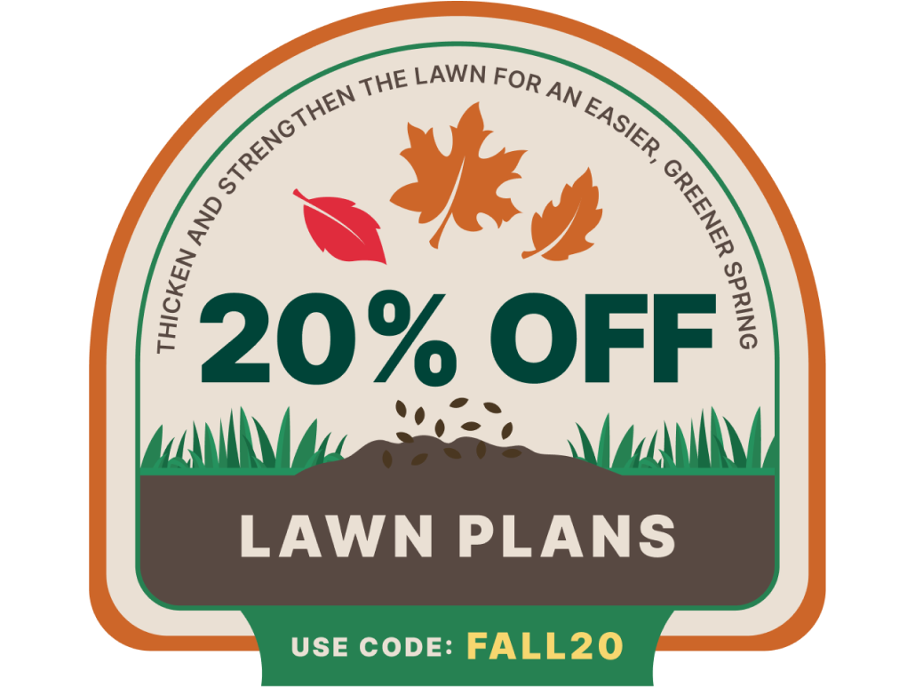 Sunday Lawn Care
