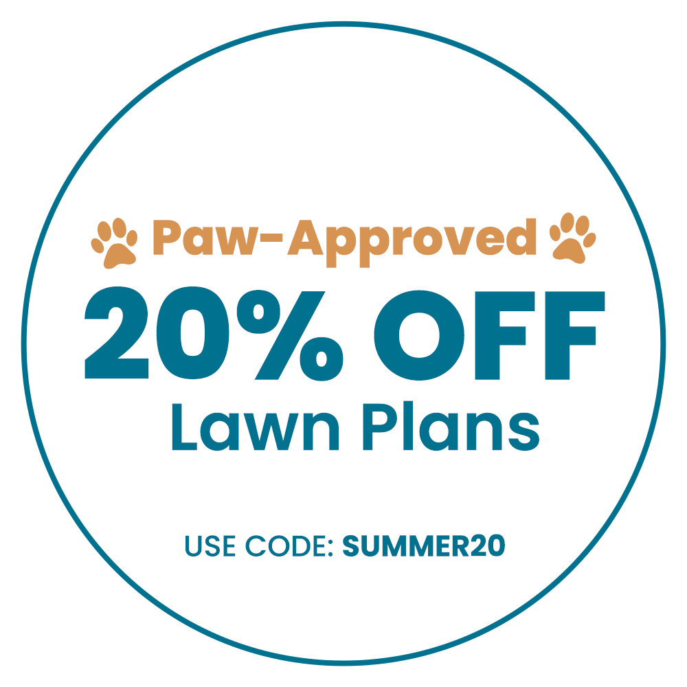 Custom Lawn Plan | Sunday Lawn Care
